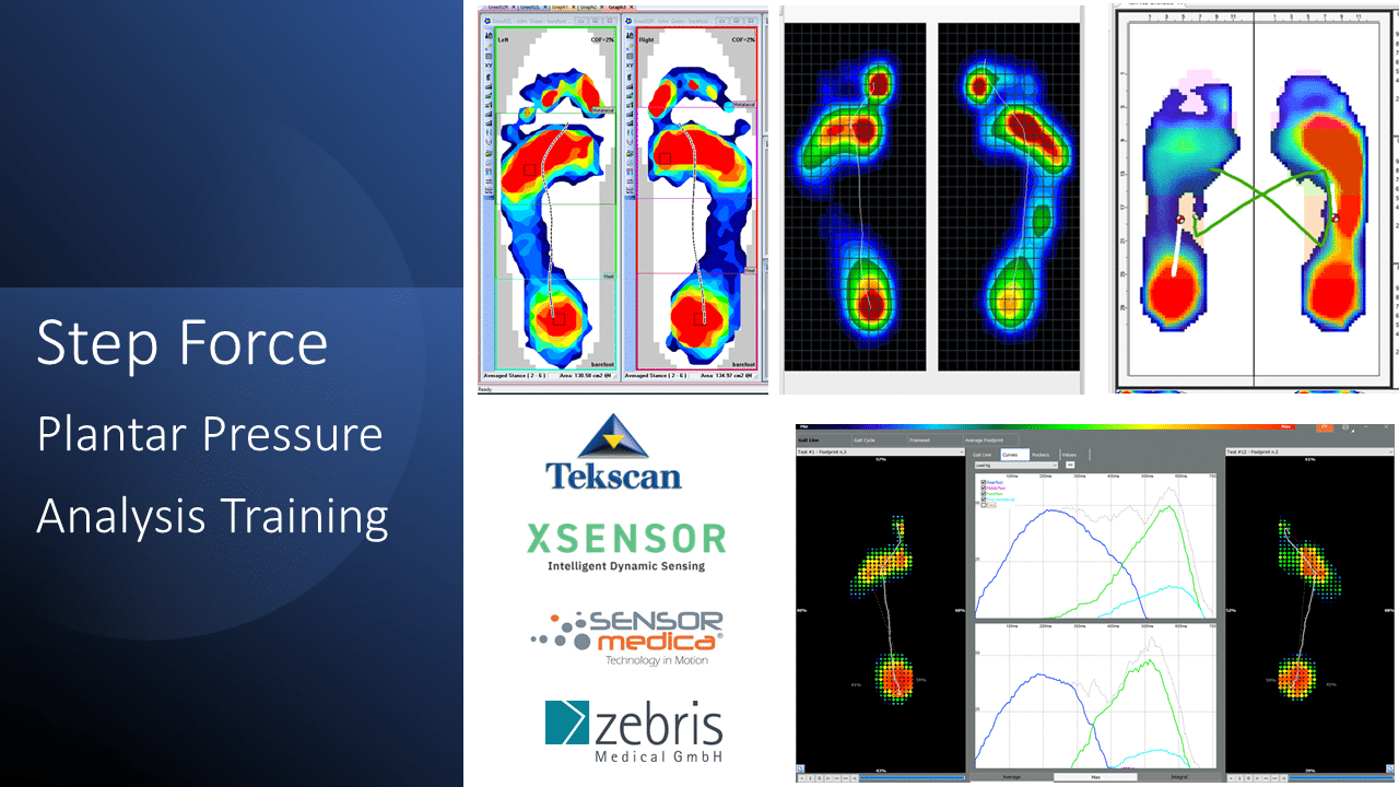 Step Force Courses - Stepforce